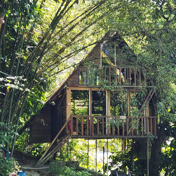 Rain Forest Treehouse | 3Playtopia